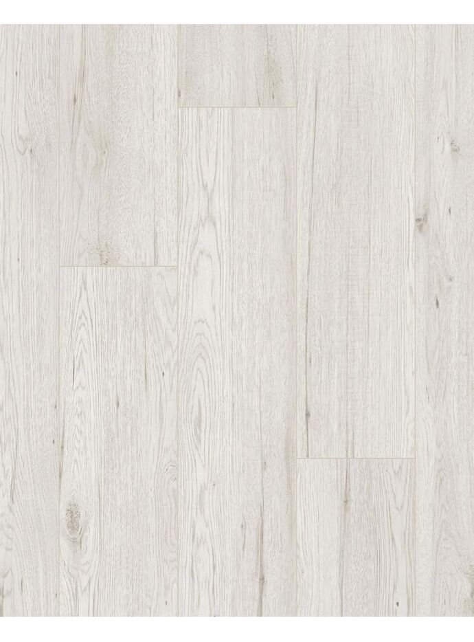 Kaindl | Morparke